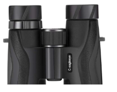 7 Best Bird Watching Binoculars - Opticsmark